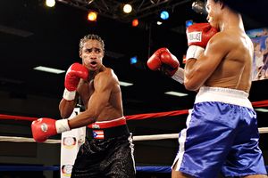 09 Boxing Thread:: 12/12 Diaz.vs.Malignaggi HBO/Bradley.vs.Peterson ...